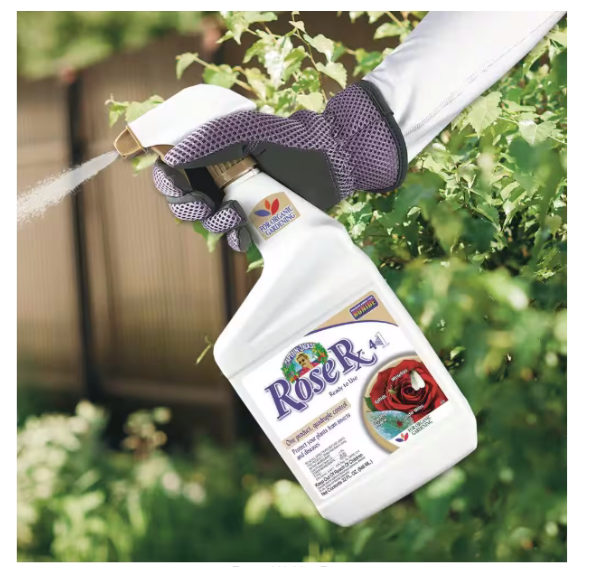 Captain Jack's Rose Rx 4-in-1 RTU 32oz Fungicide Insecticide Miticide ...