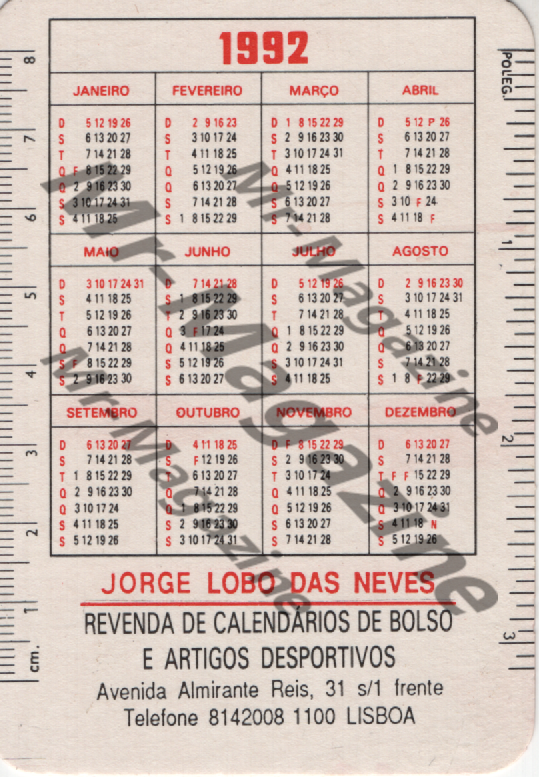 Samantha Fox Swimsuit 4"x3" 1992 Calendar Sexy Cheesecake Risqué Pinup ...