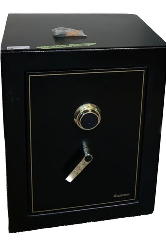 Sentry Safe Model D880 | eBay