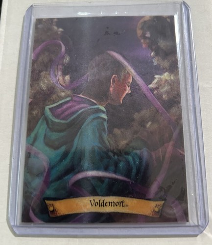 HARRY POTTER card RARE 10/12 Voldemort In Excellent Condition | eBay