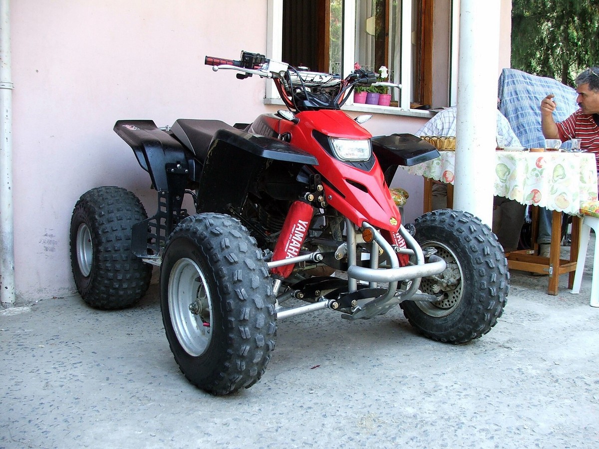 Yamaha Blaster 200 Custom Yamaha YFS200 Blaster 200cc ATVS (88 06)