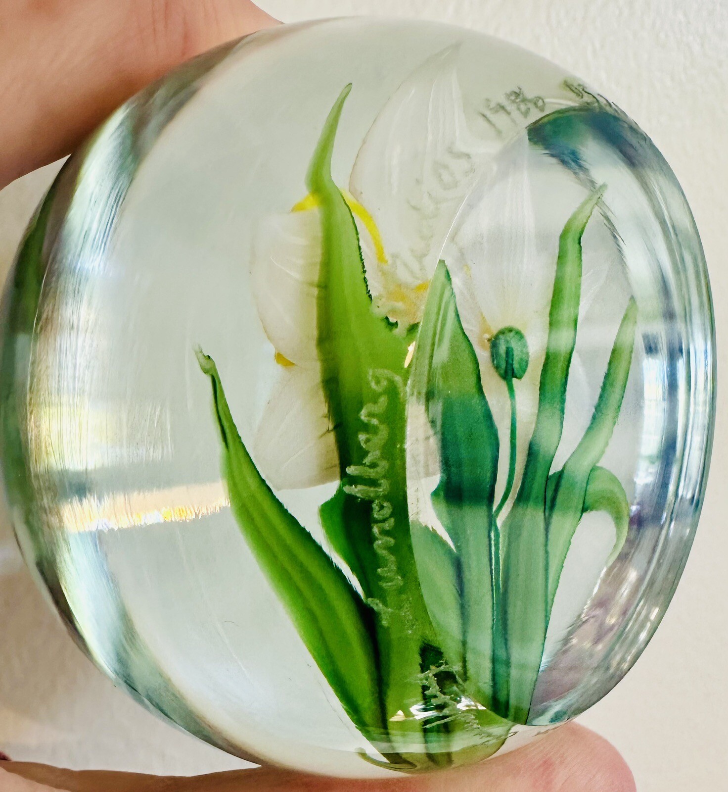 Signed Steven Lundberg Art Glass Ethereal DAFFODIL Lampwork Paperweight ...