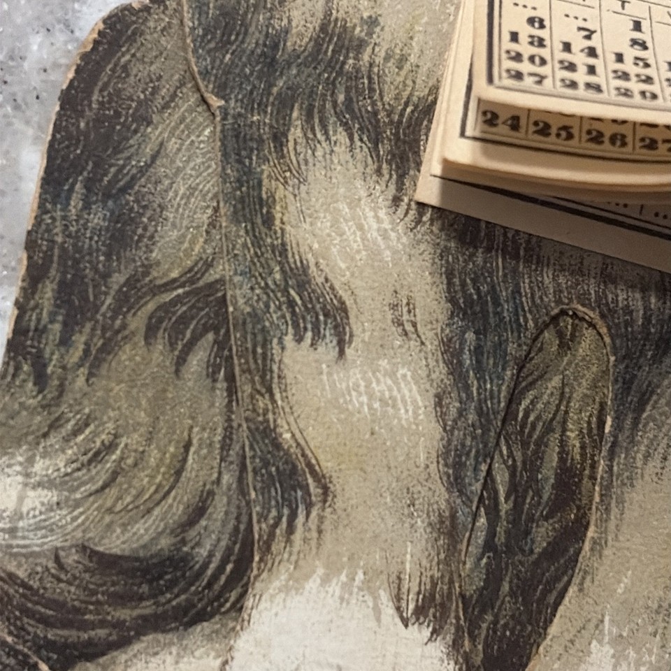 CORTICELLI SILK THREAD CAT CALENDAR 1911 - VINTAGE - C F HAWLEY ...