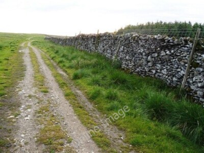 Photo 6x4 Track on Langcliffe Scar by a Plantation Langcliffe/SD8265 ...