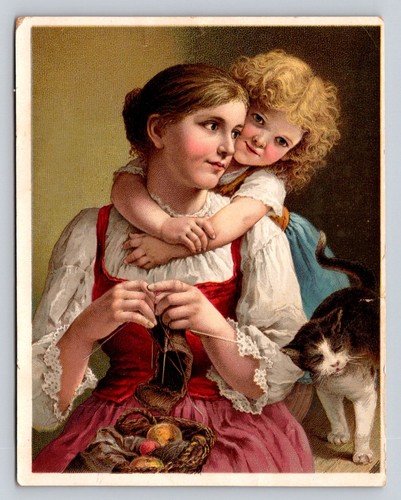 Dr Jaynes Tomic Vermifuge My Mama Girl Cat Amos Beemer Mill City P598 ...