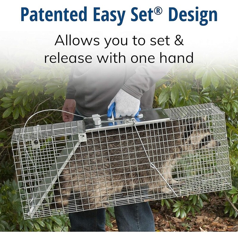 Large 1-Door Humane Live Animal Trap Easy Set Cats Raccoons Skunks ...
