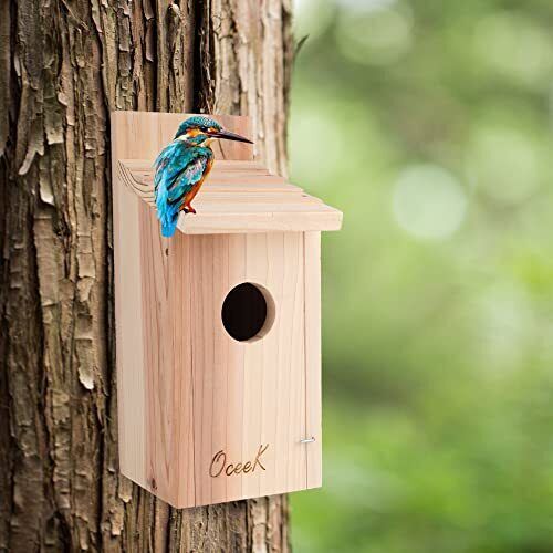 OceeK Cedar Blue Bird Box House Wood Bird Box House Audubon Cedar Wren ...