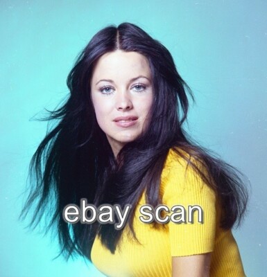 PHYLLIS DAVIS VEGAS BEAUTY BUSTY CHEESECAKE 8X10 PHOTO 24 | eBay