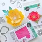 New, Retired Sizzix Thinlits 3-D Peony 5pc #663593 Retail $22.99 by C. Chilson | eBay