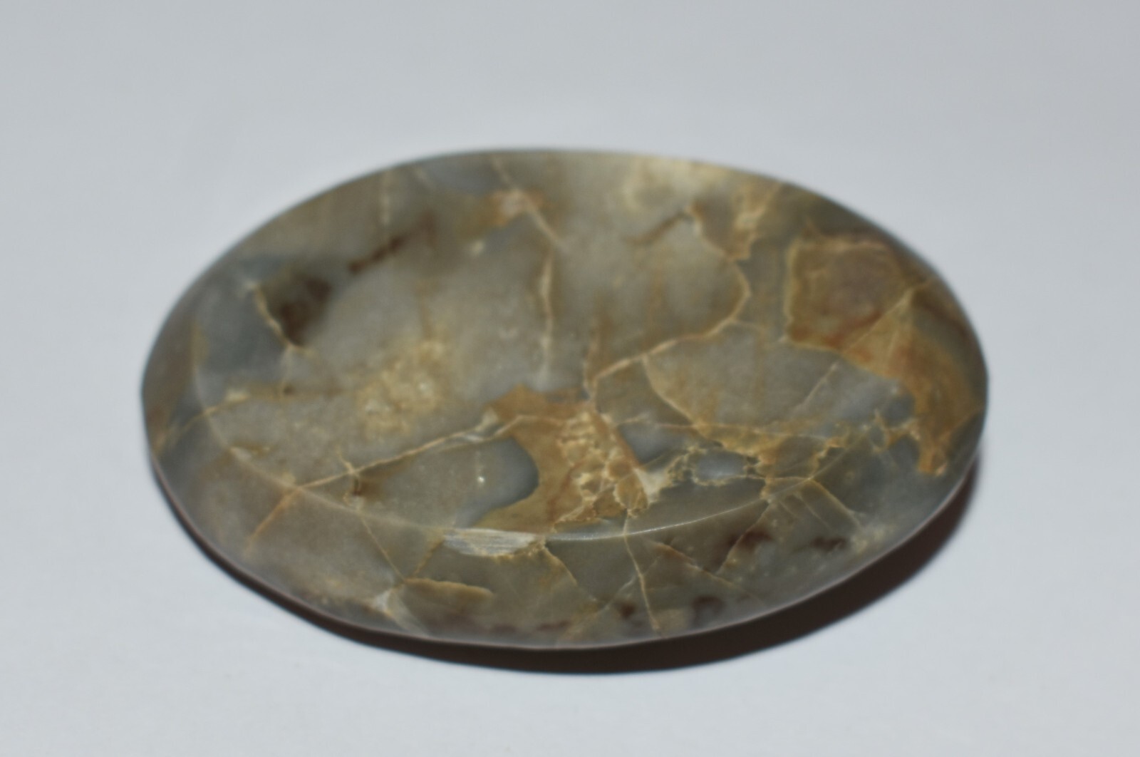 Agatized Coral Fossil Blue Red Ancient Seabed Natural from North ...