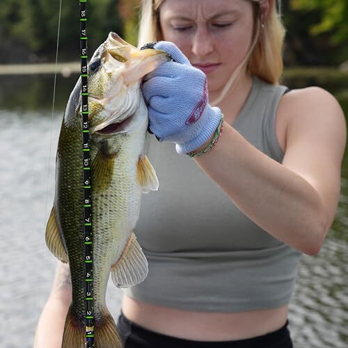 Fishing Pole Measuring Tape Sticker 24 Inch Ruler Decal To Attach To ...