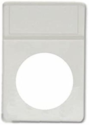 Slab Inserts For Half Dollar Coin 25 Foam Inserts For BCW Shells ...