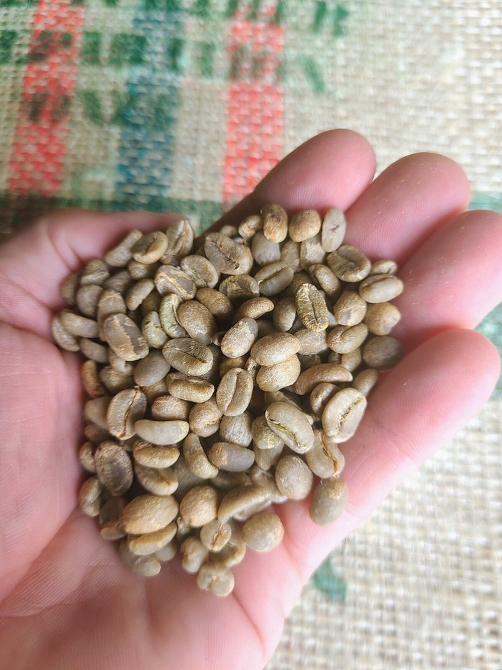 COLOMBIA COFFEE BEANS (UNROASTED-GREEN) | eBay