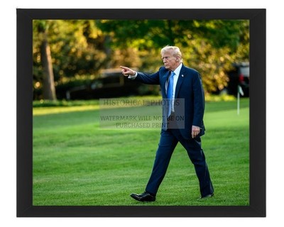 PRESIDENT DONALD TRUMP POINTING FINGER ON WHITE HOUSE LAWN 8X10 FRAMED ...