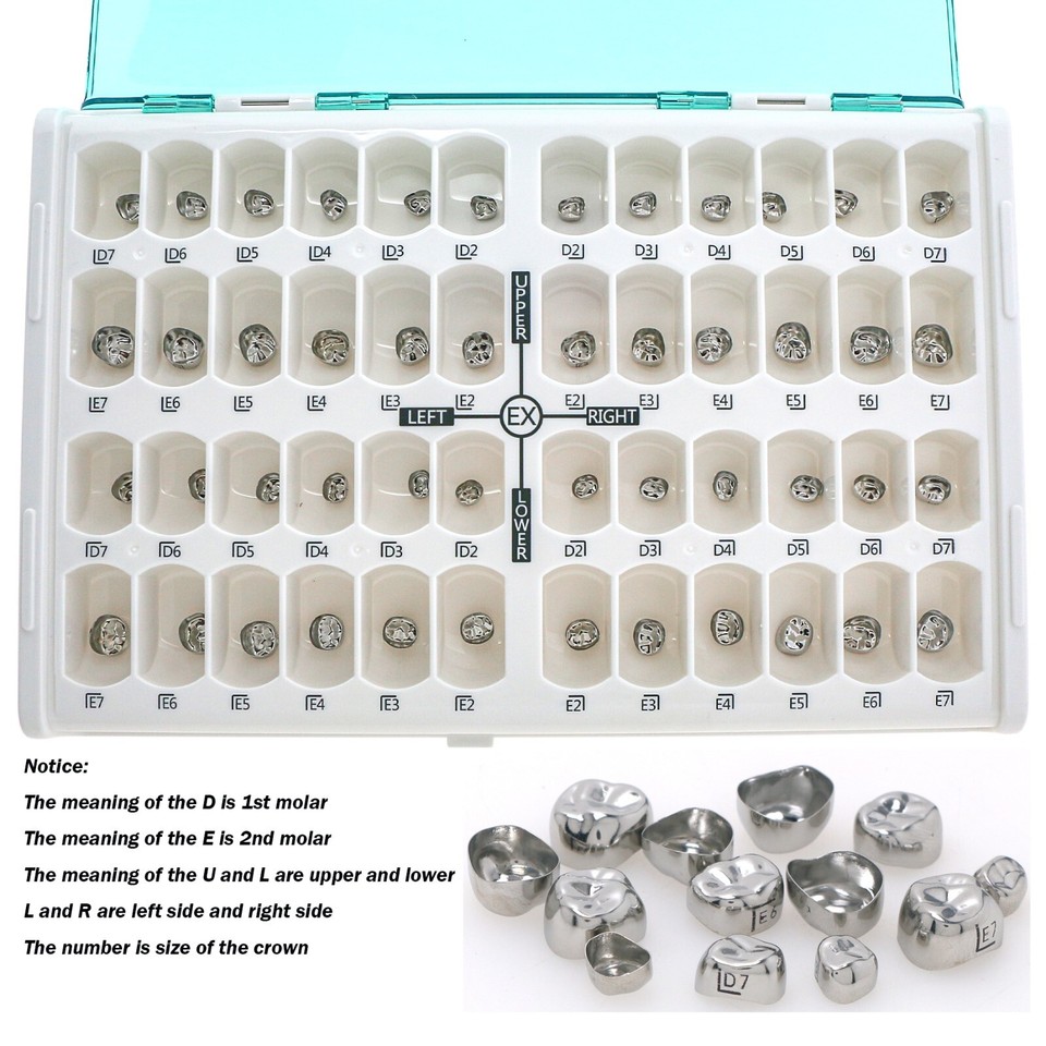 48Pc Dental Stainless Steel Crowns - Pediatric Primary Molars ...