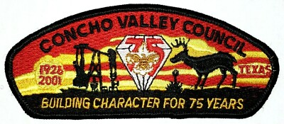 Concho Valley Council (TX) SA-10 2001 75th ANN CSP BSA | eBay