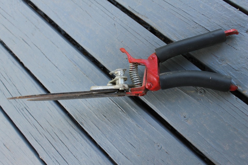 Nice Hand Shears /Garden Red Hand Held Spring Return Cast Iron Working ...