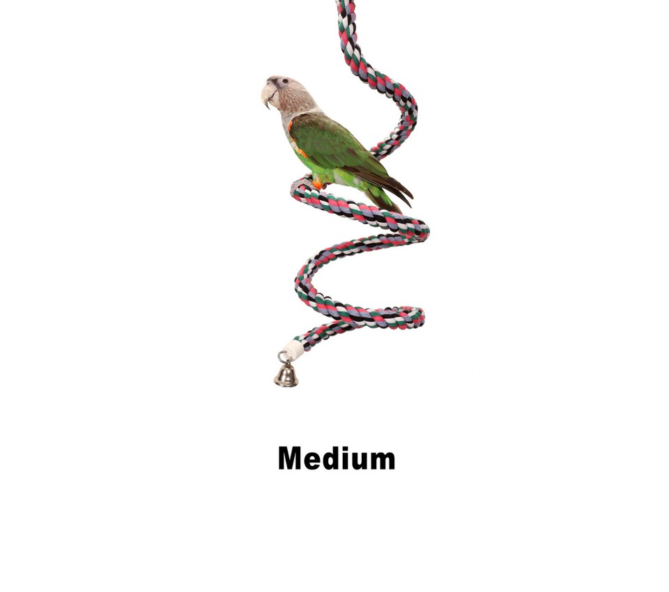 Parrot Wizard Rope Boing Spiral Rope Swing for Parrots (Choose Size) | eBay