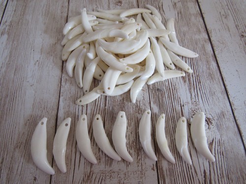 25 Coyote Teeth/Fangs Drilled Crafts Beads Jewelry Bones Tribal | eBay