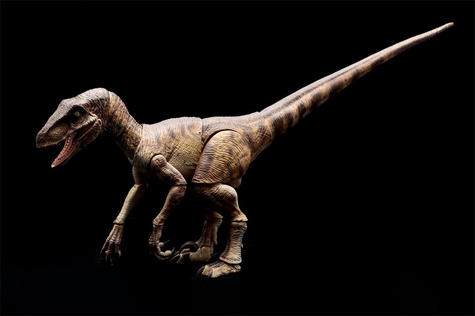 Nanmu 1/12 Smart Series Raptor 2.5 Action Figure Collections Dinosaur ...