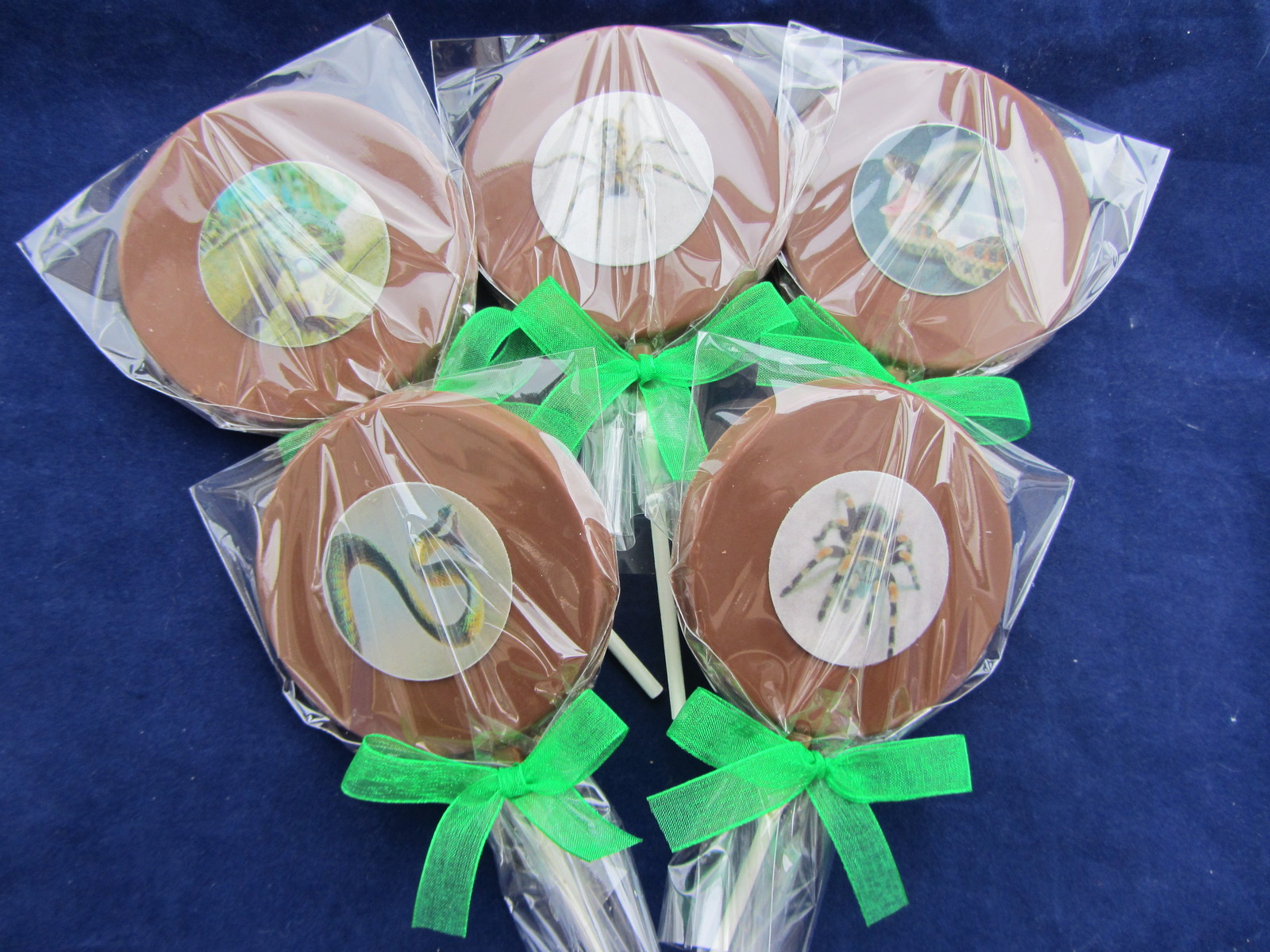 REPTILE/SNAKES/LIZARD CHOCOLATE LOLLIPOPS/SWEETS PARTY BAG FILLERS ...