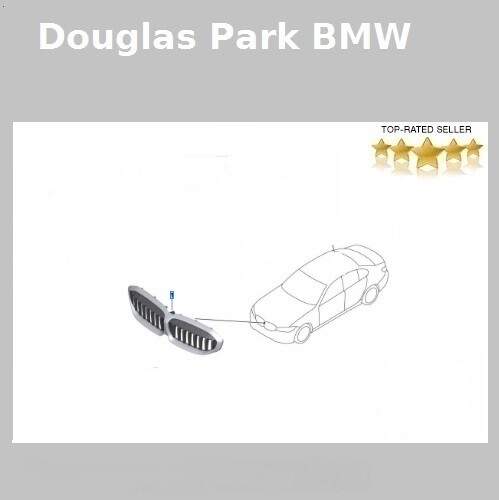 BMW Genuine Front Grill Chrome Surround 3 Series G20 G21. 51137449428 ...