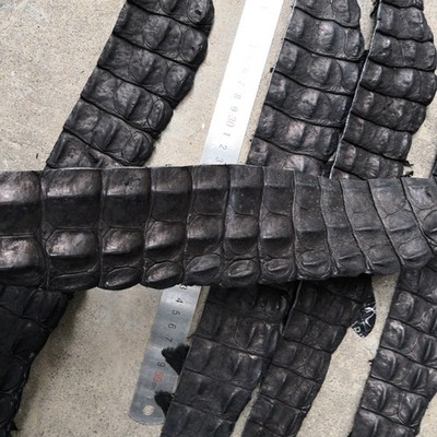 1X Echte Krokodil Knochen Leder verstecken Fisch Knochen Scraps DIY ...