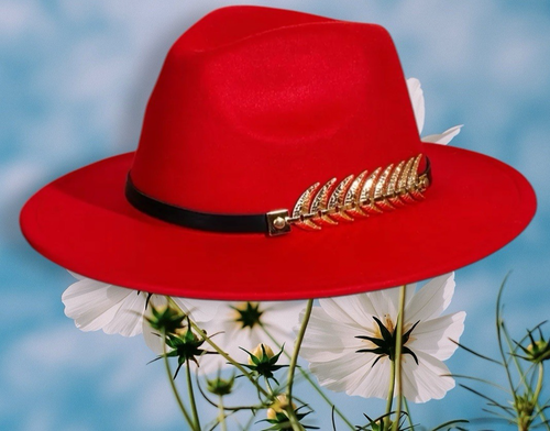 Red Hat Wide-brimmed Hat Stylish Fashion Red 58cm x 12cm Man Or Women ...