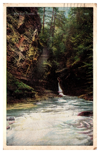 Watkins Glen, NY Cathedral Rapids Cliff Side Geo. V. Millar Co. Stamp ...