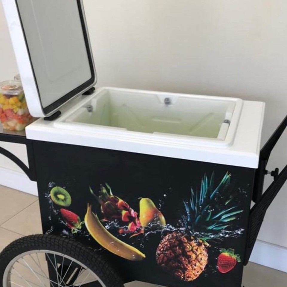 STREET VENDOR PUSH CART COOLER FRUIT BOWLS CART BEER CART MOBILE VENDOR ...