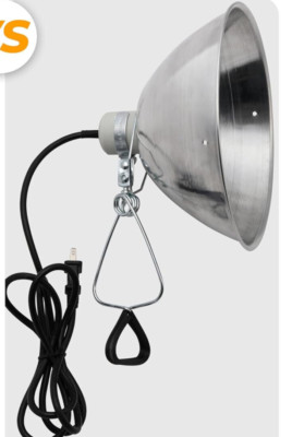 Brooder Clamp Work Light Heat Lamp CERAMIC SOCKET 18/2 SJTW 10 ...
