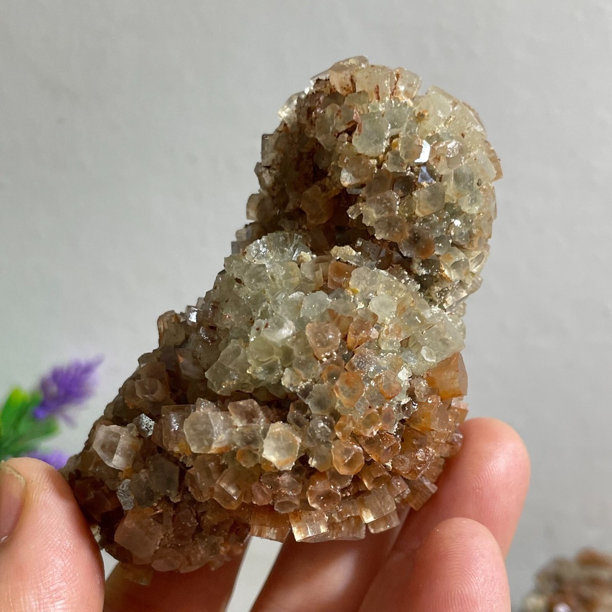 Mineral Aragonita Calcit Und Aragonit Aus Afrika
