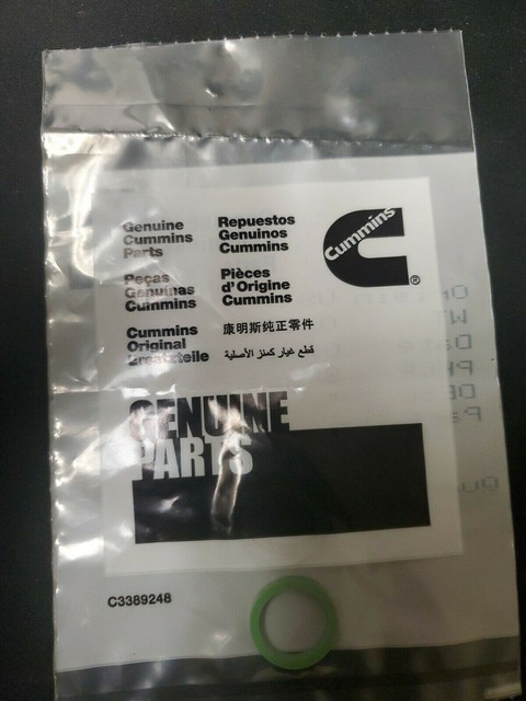 Cummins Seal Rectangular Ring 4384356 for sale online | eBay