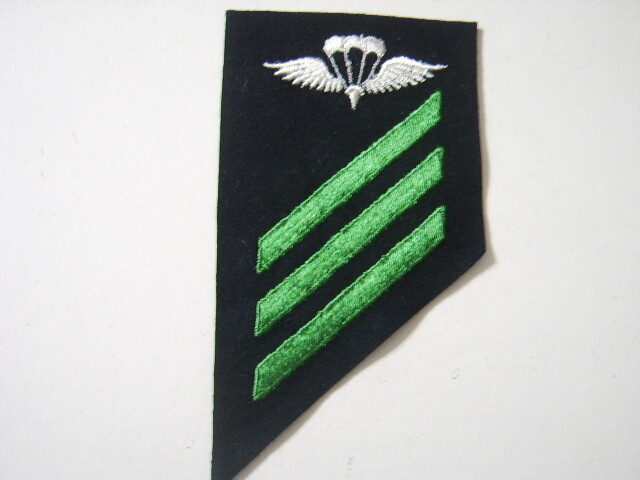 PARACHUTE RIGGER USN STRIKER RATE INSIGNIA E3 FOR BLUE UNIFORM :KY19-3 ...