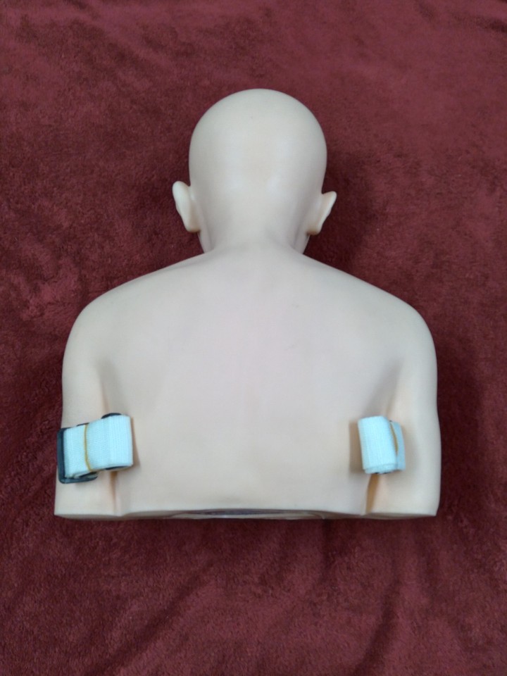 Pivot Point Mannequin Head Torso - Cosmetology Practice Tool - # 3121 ...