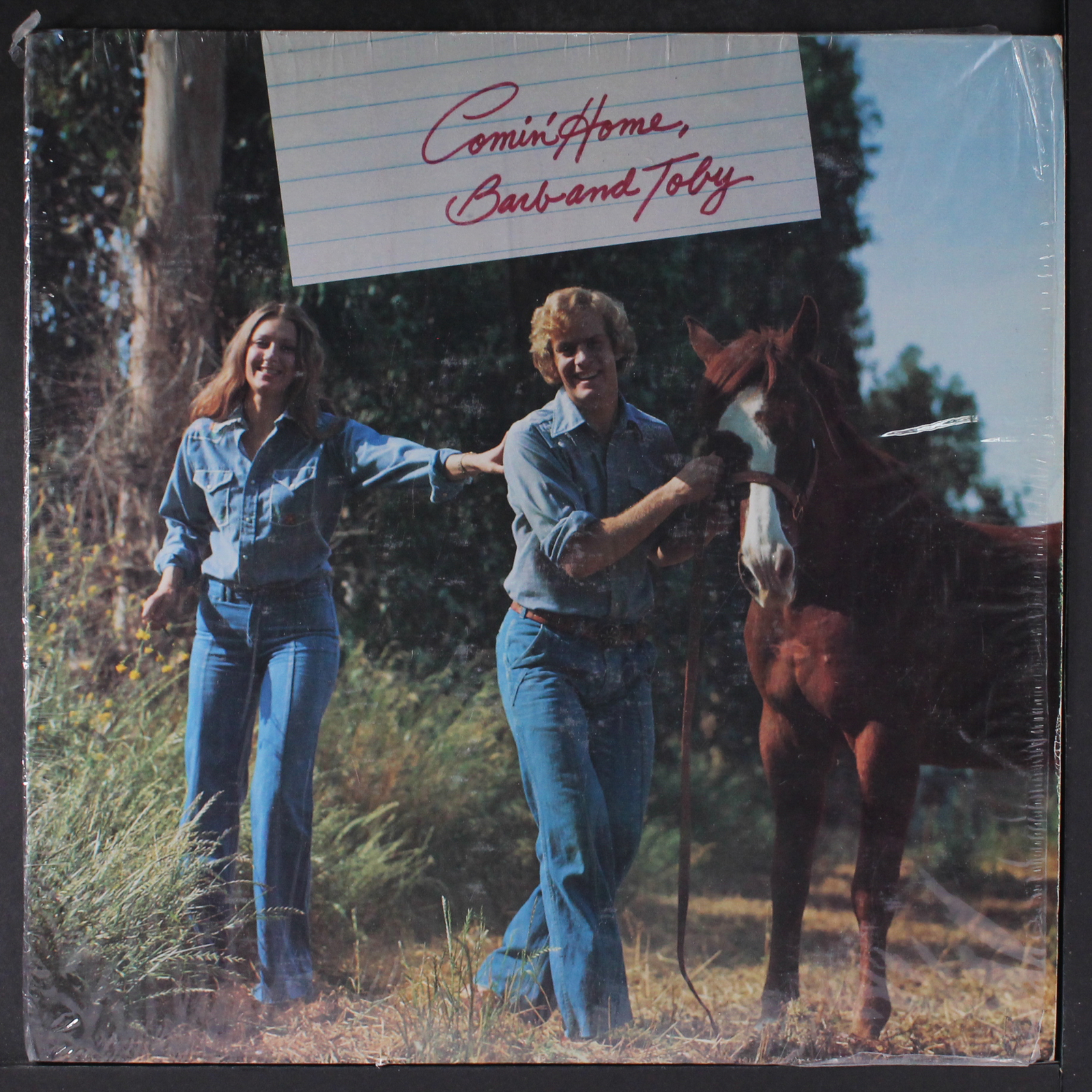 BARB & TOBY WALDOWSKI: comin' home WALDOWSKI 12" LP 33 RPM | eBay