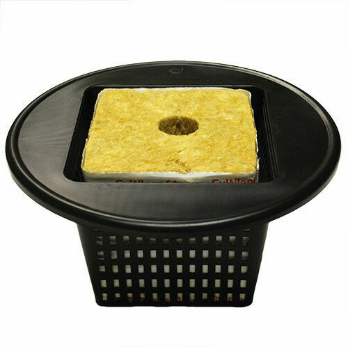 Square Mesh Pot Lids 6" - Fits 5 Gallon Buckets Net Cups Hydroponics 6 ...