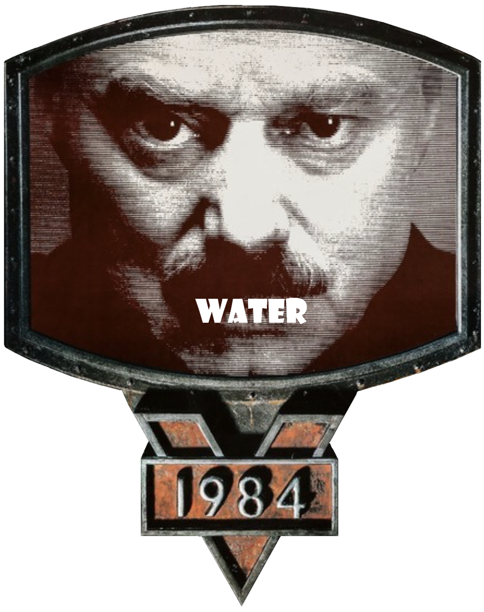 Big Brother 1984 Face