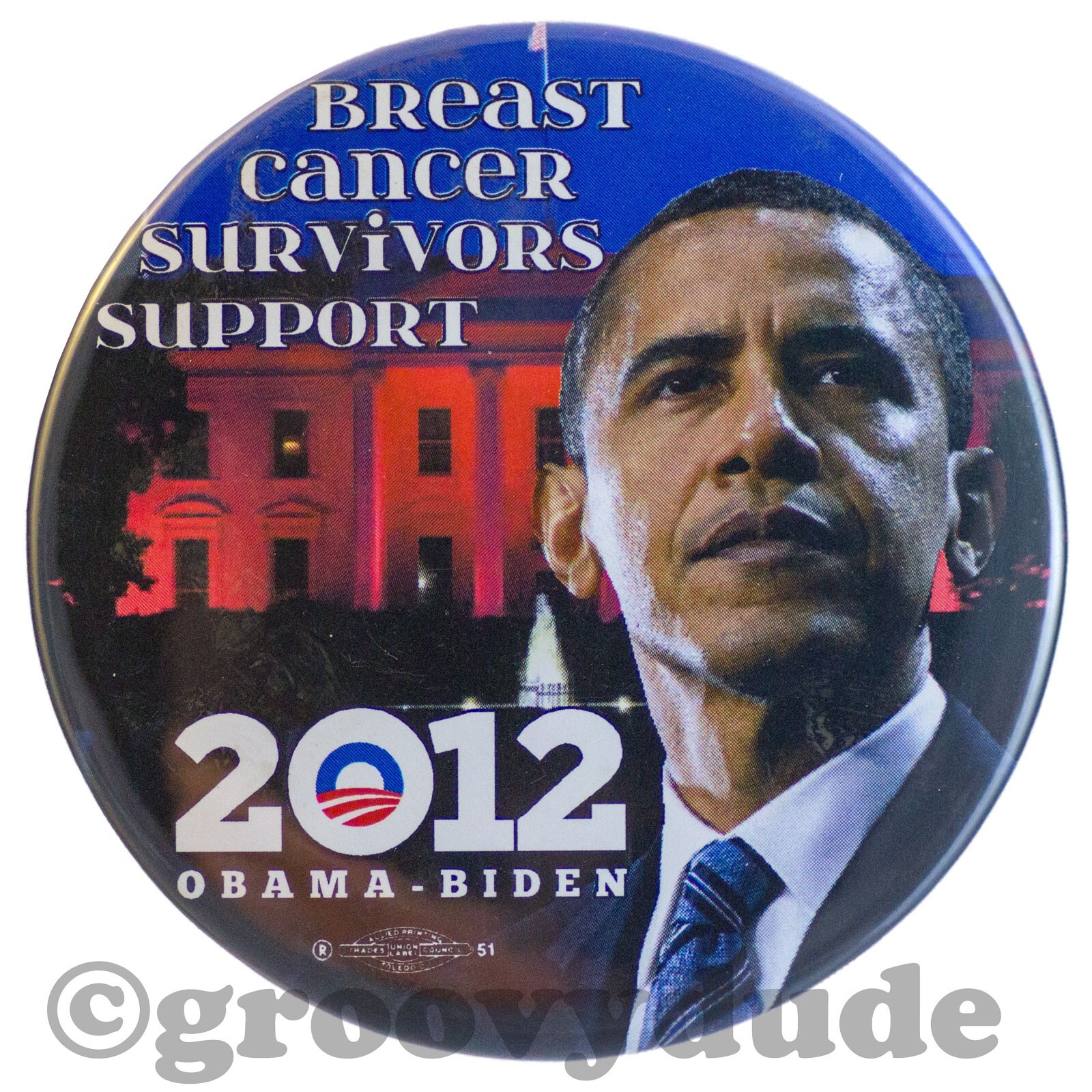 President Barack Obama 2012 Breast Cancer Survivors For Campaign ...
