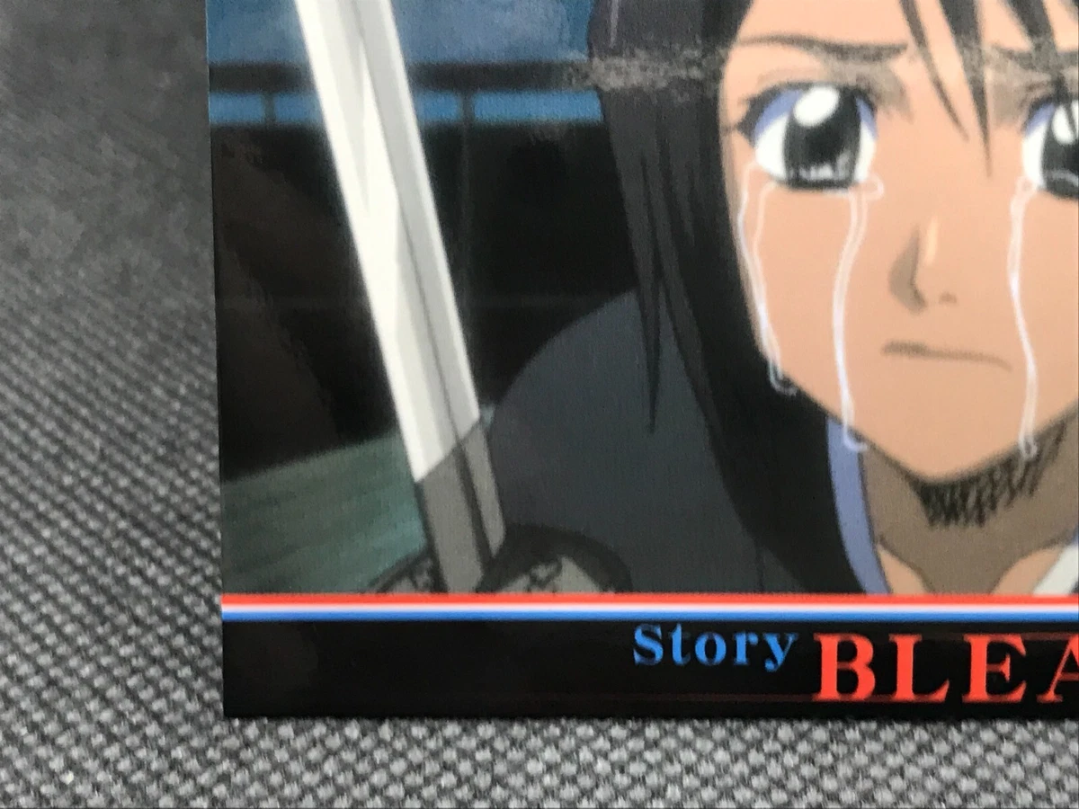 Momo Hinamori Time Skip