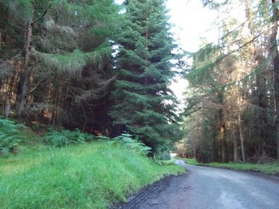 Photo A2 Footpath beside road near Craig Leach Dochgarroch I had ...