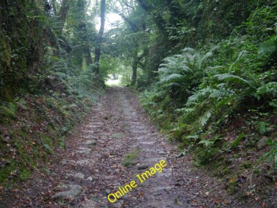 Photo 6x4 Luxulyan Valley Trail Tywardreath Highway Carmears Inclined ...