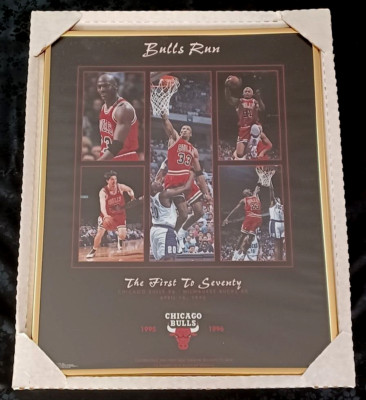 Chicago Bulls - 1995-1996 72-10 Team - Vintage Framed 16x20 Poster ...