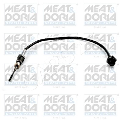 Exhaust Gas Temperature Sensor For BMW X3 X4 X5 F10 F11 F15 F18 F20 ...