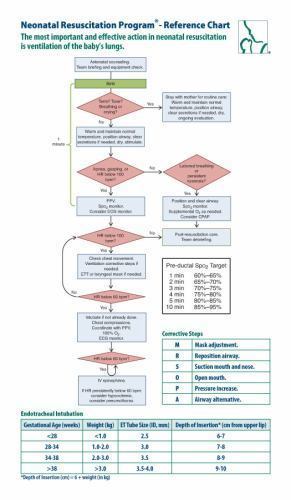 Nrp Ser.: Neonatal Resuscitation Program Reference Chart by American ...