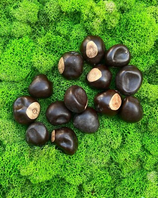 Wholesale 1LB Hickory/Buckeye Nuts 1” Good Luck, Crafting, Non-edible ...