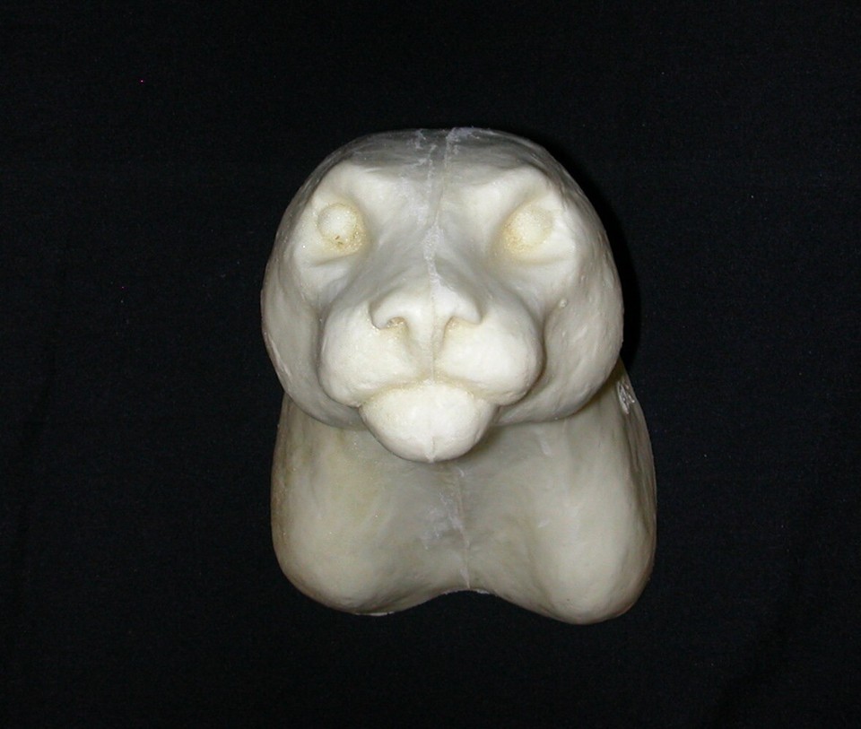 Taxidermy Form Bobcat Shoulder 2 X 6 X 11 Straight Closed Mouth | eBay