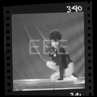 Apollonia Prince Purple Rain Actress Model Harry Langdon Negative w ...