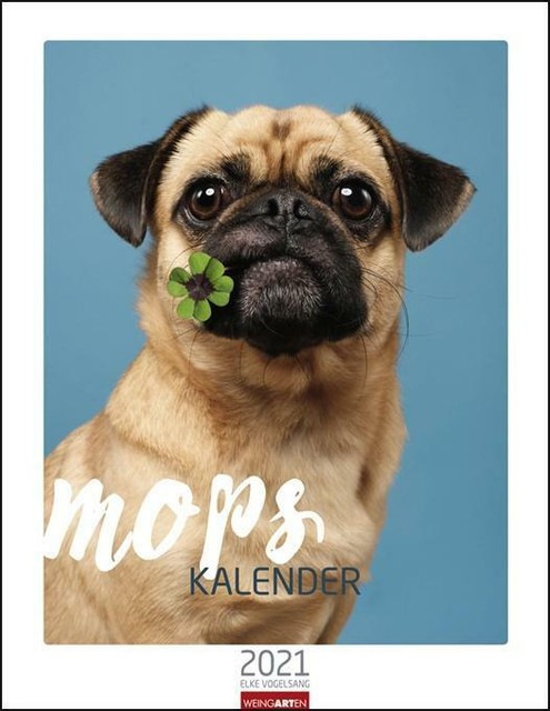 Mops-Kalender 2021 (Calendar) online kaufen | eBay.de