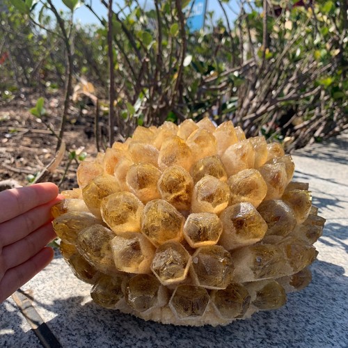 11LB Yellow Phantom Quartz Crystal Cluster Mineral Specimen Gem Reiki ...
